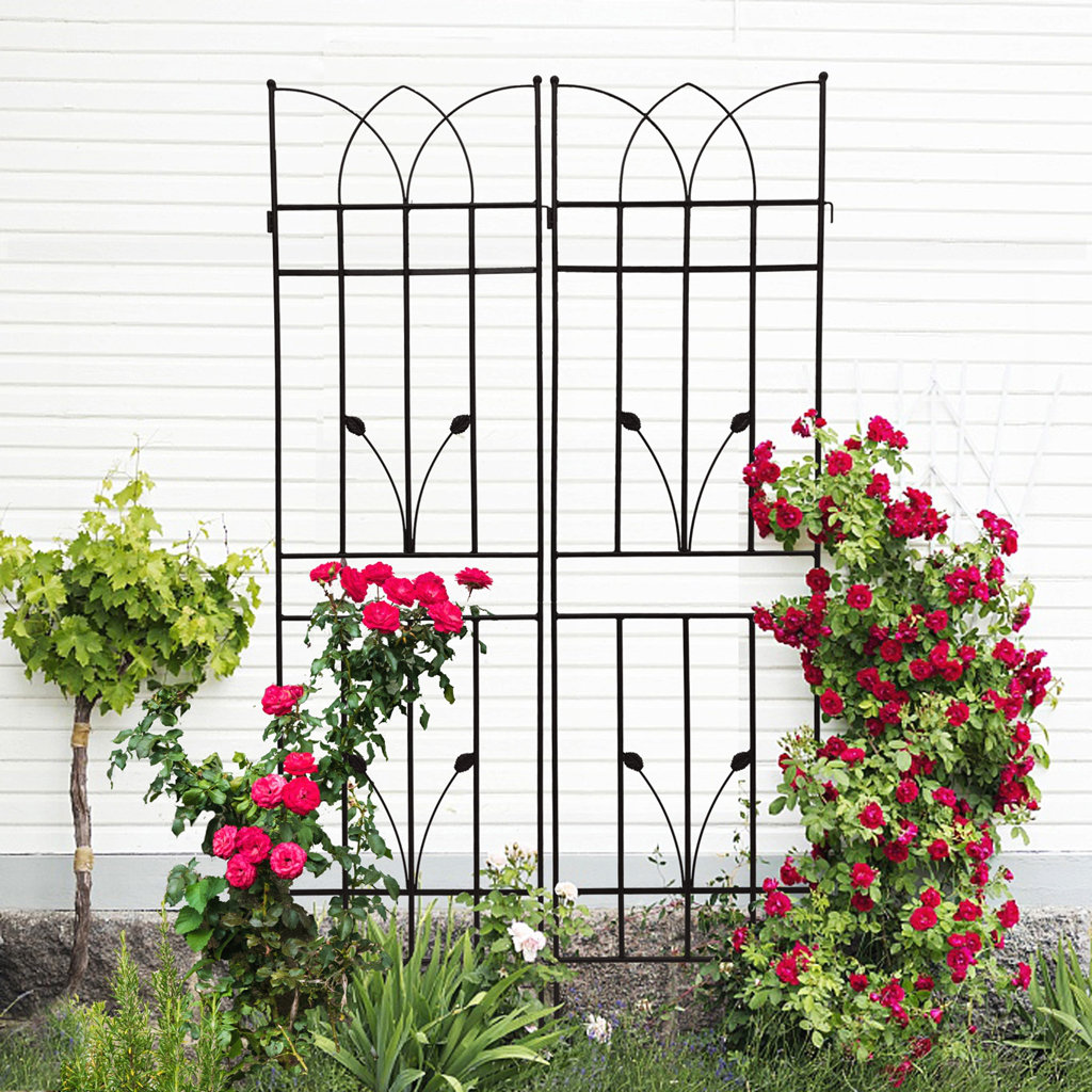 Lark Manor™ Bandon 4-Pack 71" Rustproof Metal Garden Trellis | Heavy-Duty Climbing Plant Support ...